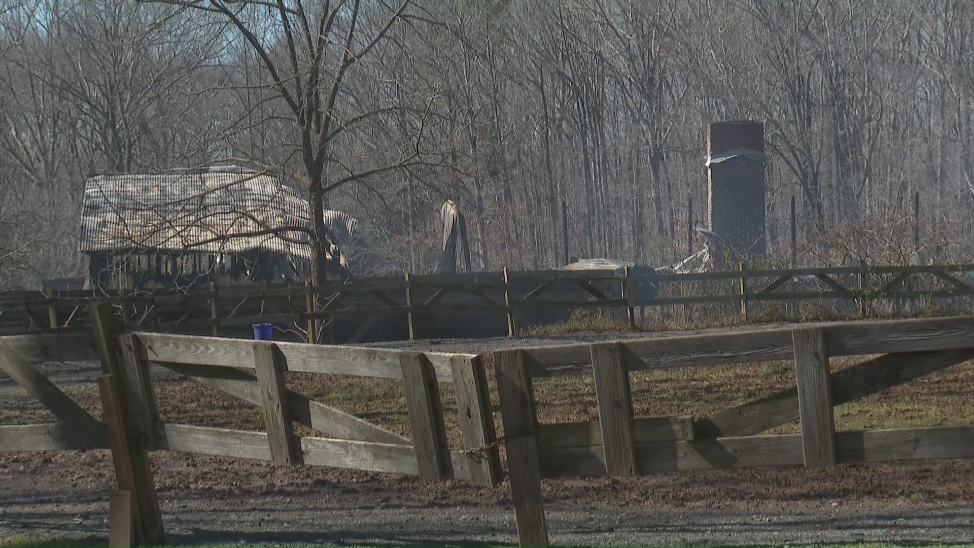 Barn fire kills 36 horses in Seagrove, leaving community grieving ...