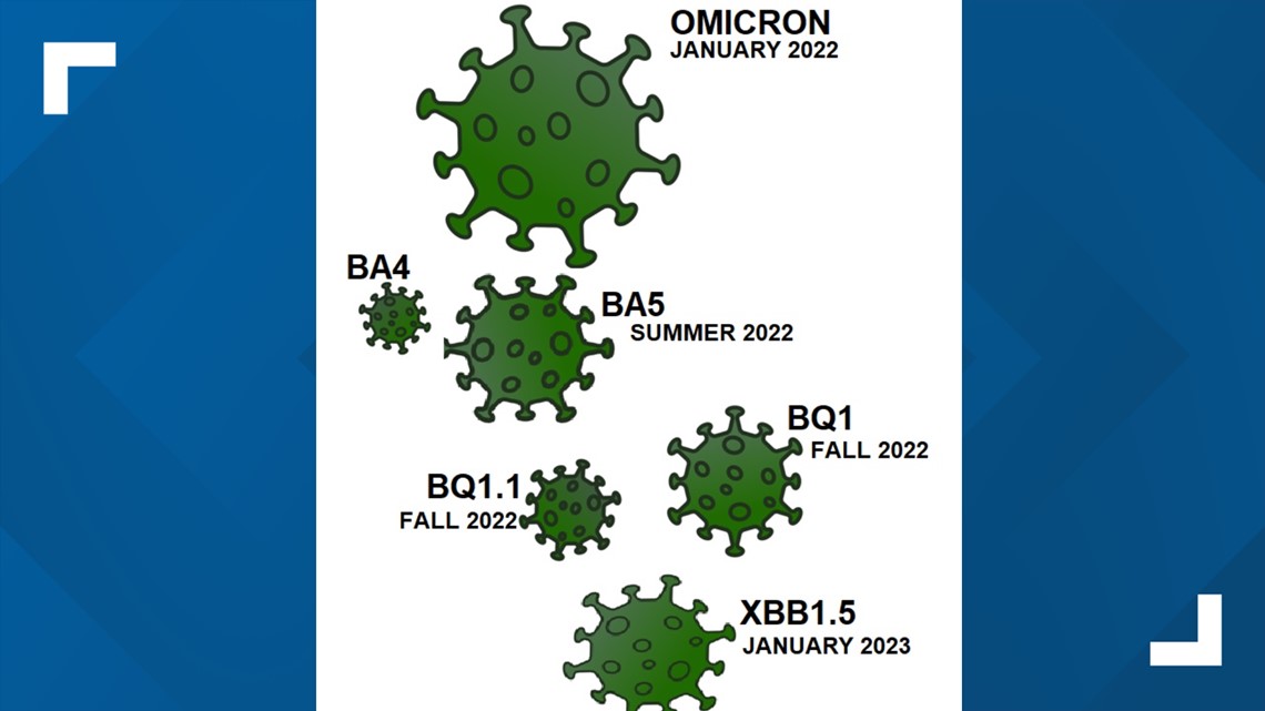 COVID and XBB1.5: Where it came from & why it's more infectious ...