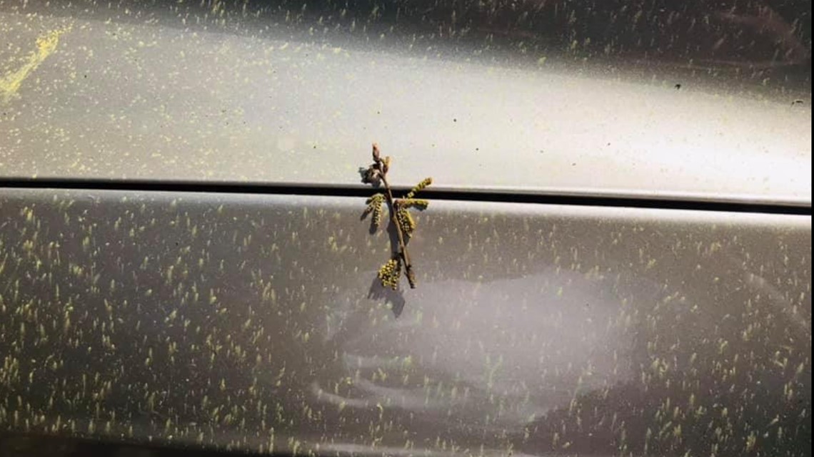 16 tips to help allergy sufferers beat the pollen | wfmynews2.com