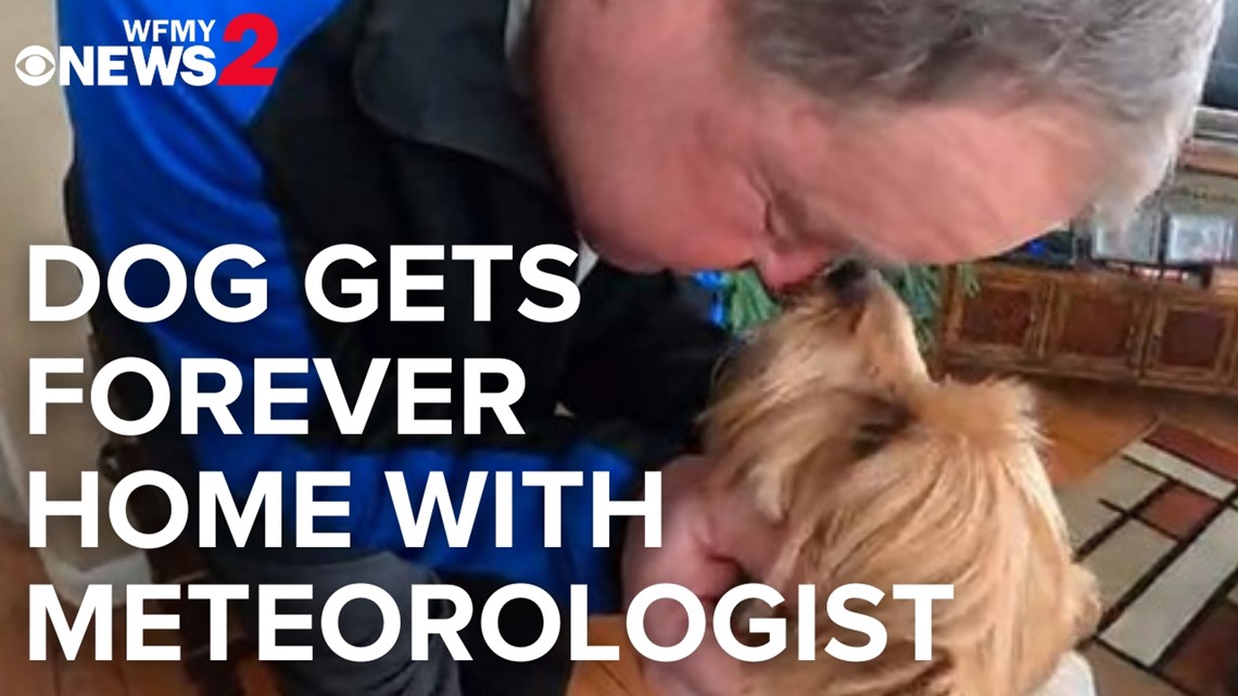 Ed Matthews welcomes new rescue dog, Lily! | wfmynews2.com