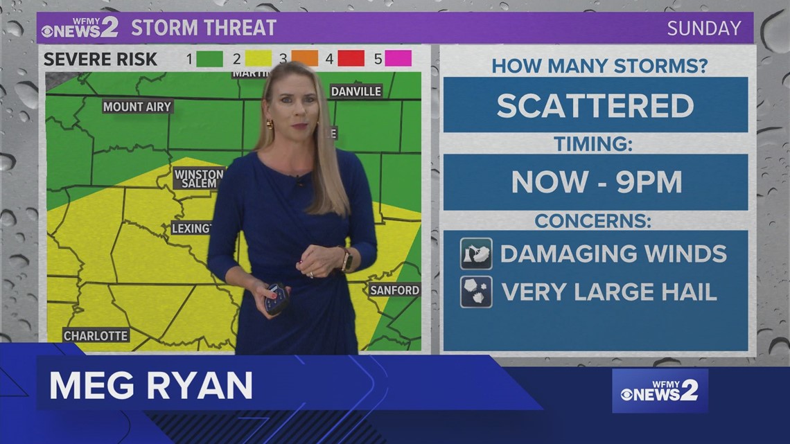 Meg Ryan Evening Weather Forecast 7/23/2023 | wfmynews2.com