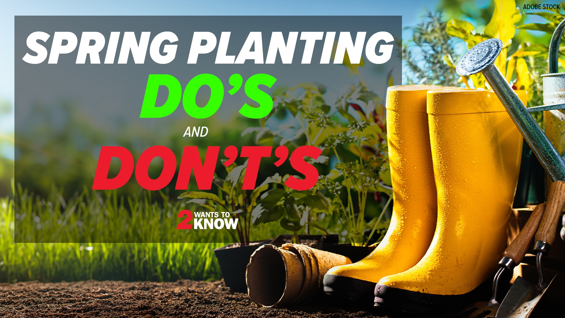 Spring planting do’s and don'ts | 2 Wants to Know | wfmynews2.com