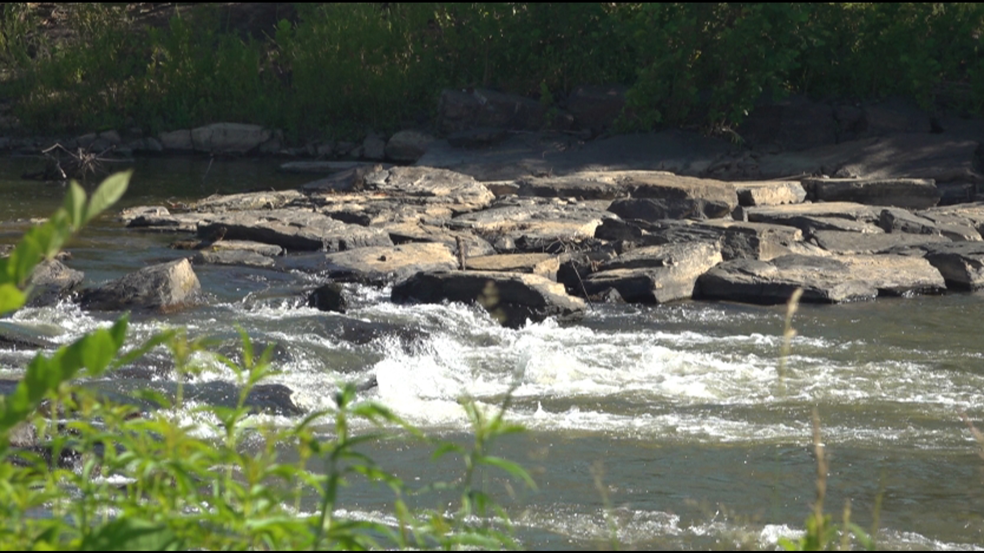 Dan River named among most endangered U.S. rivers in 2026 report ...