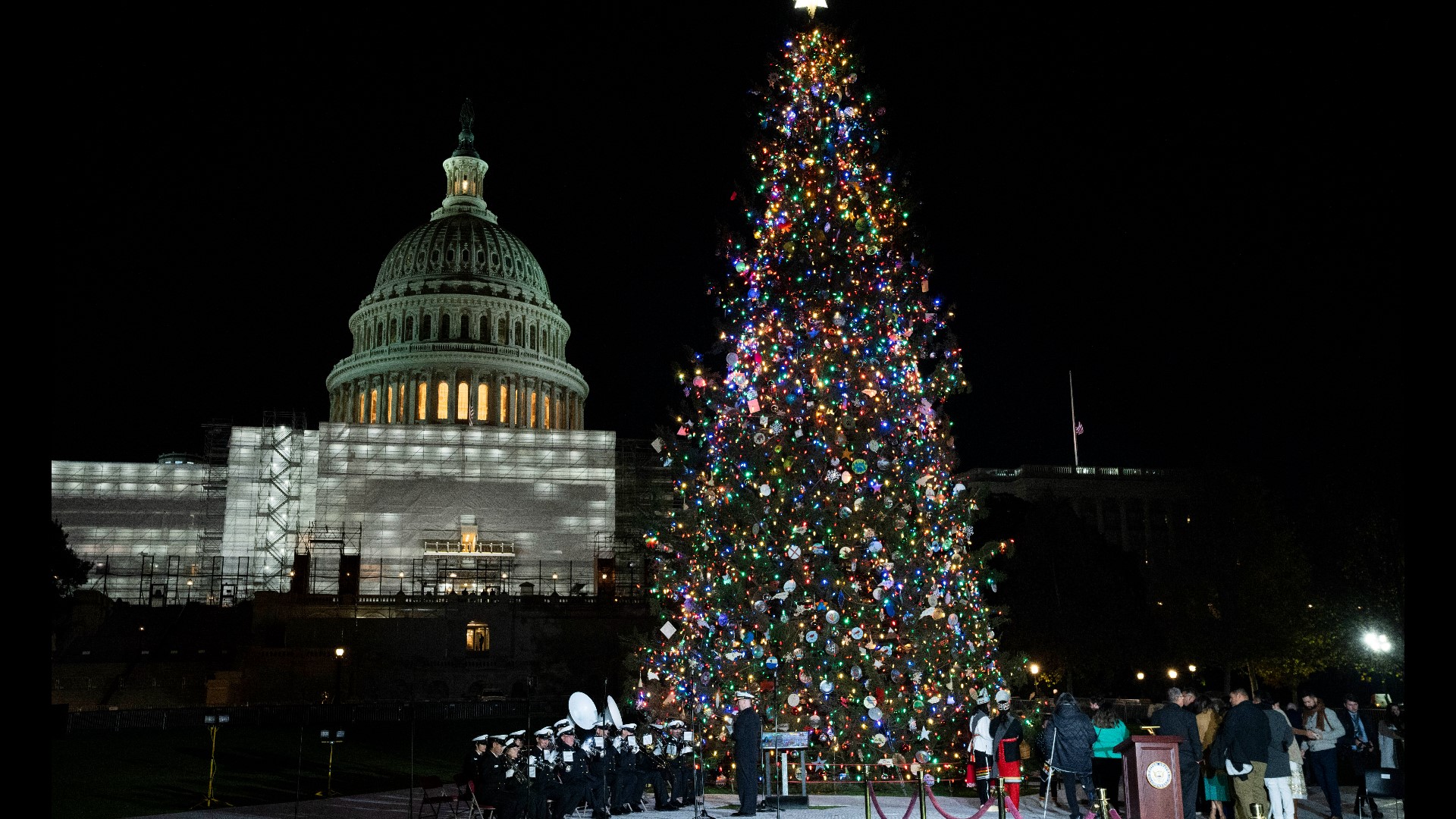 North Carolina tree goes up at US Capitol | wfmynews2.com