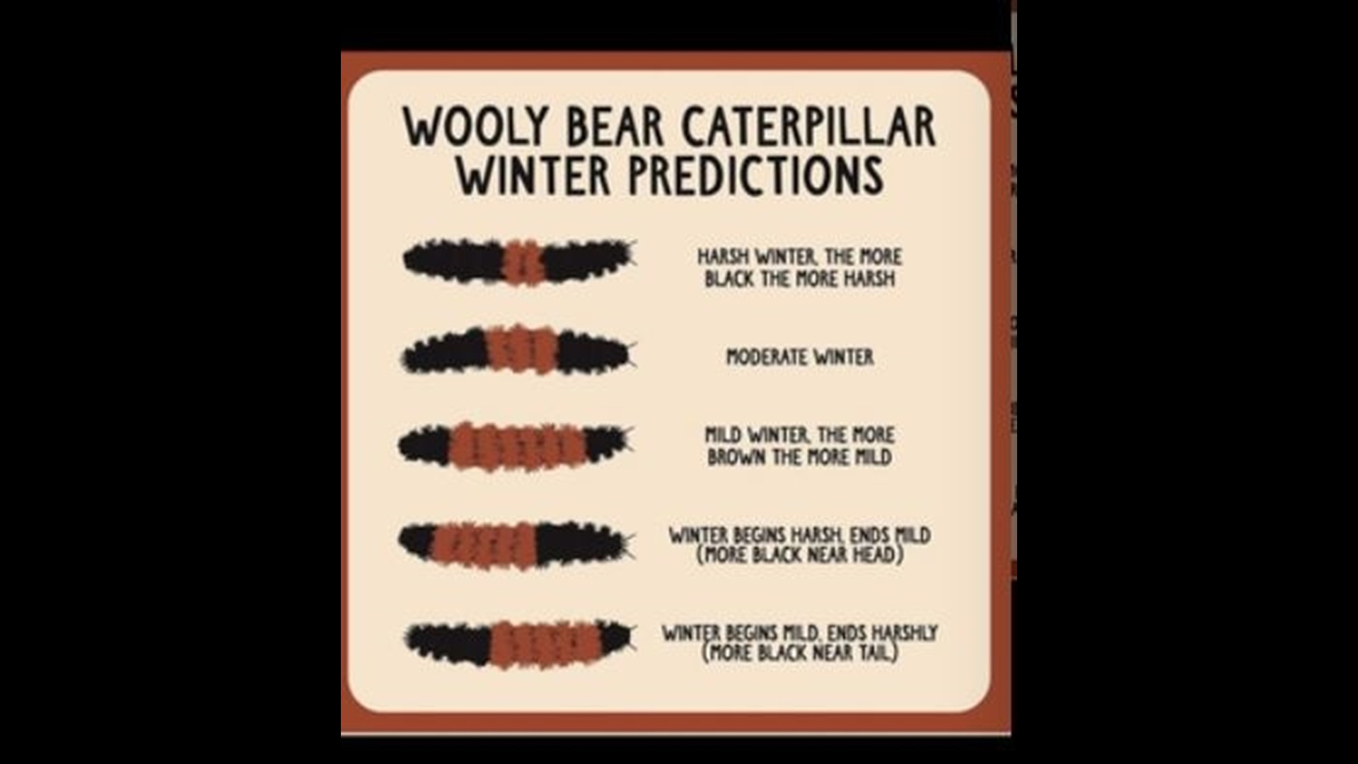 No, the Woolly Bear Caterpillar can't predict the future winter ...