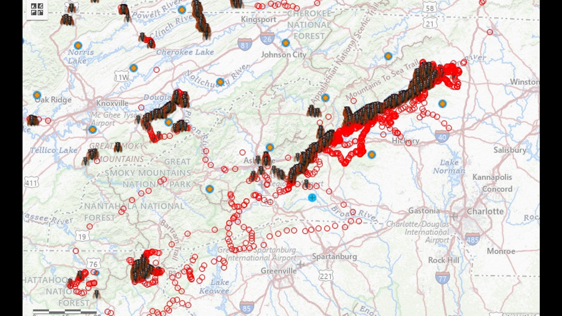 Brood XIV cicadas emerge in North Carolina and Tennessee | wfmynews2.com