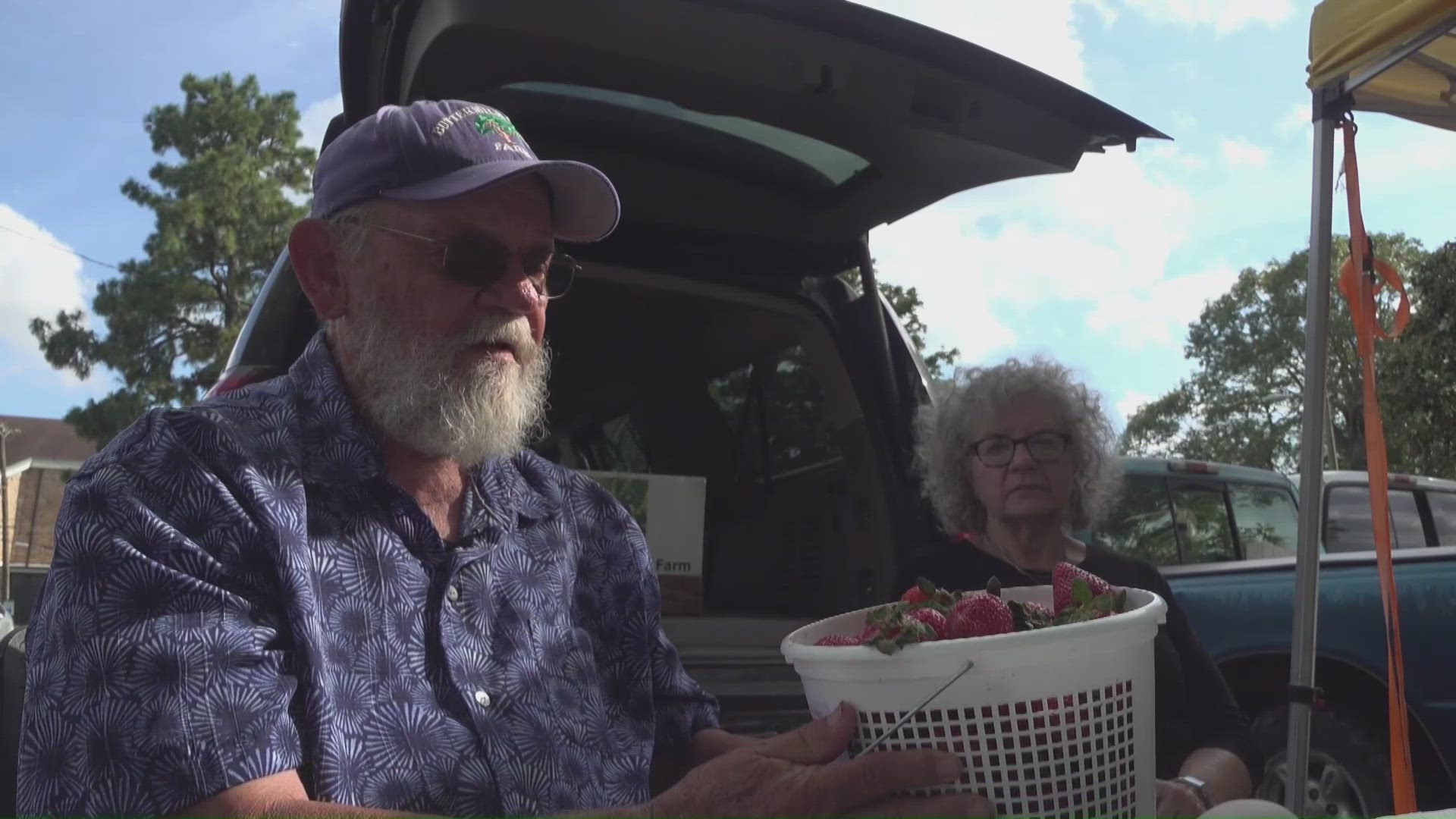 Triad farmers feeling weather extremes | wfmynews2.com