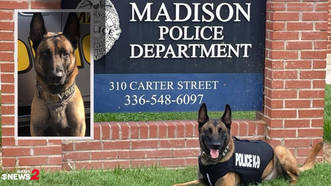 Madison police Officer K9 Murphy passes away | wfmynews2.com
