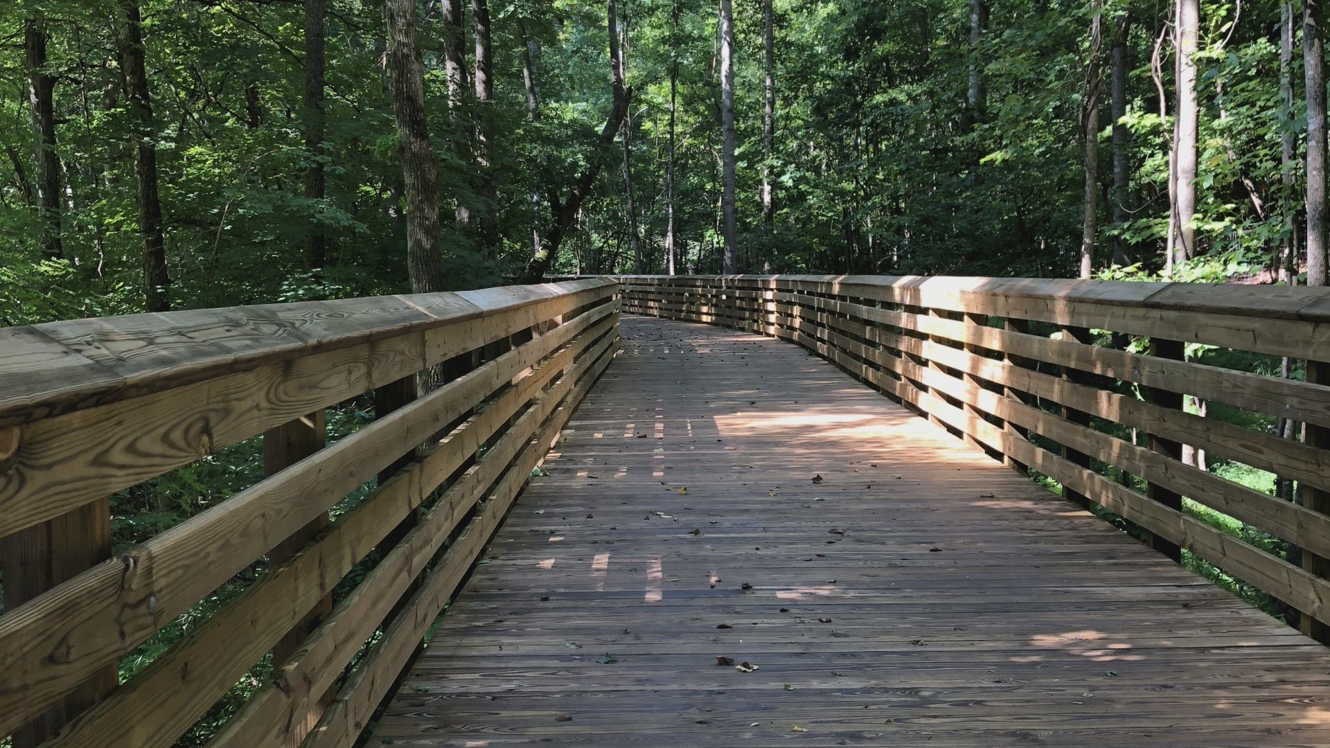 PHOTOS | High Point Greenway Ribbon Cutting | wfmynews2.com
