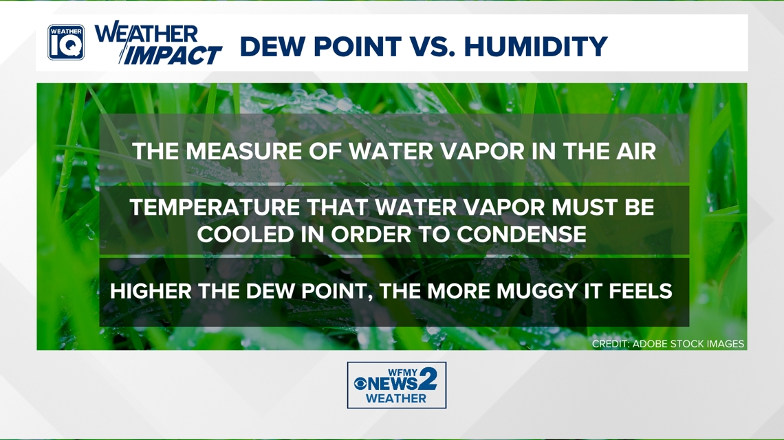 Why the "dew point" is better measurement of how "sticky" the weather ...