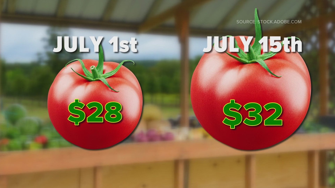 How tomato tariffs are impacting local farmers, businesses | wfmynews2.com
