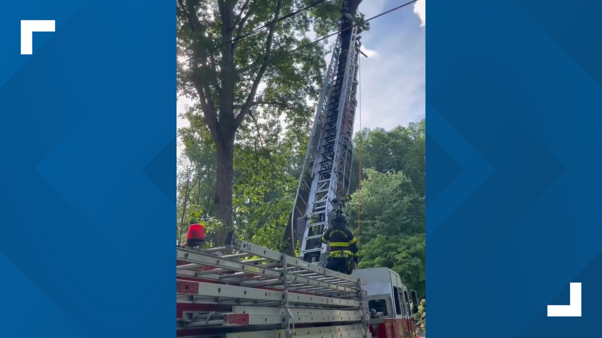 Firefighters rescue stuck arborist in Winston-Salem | wfmynews2.com