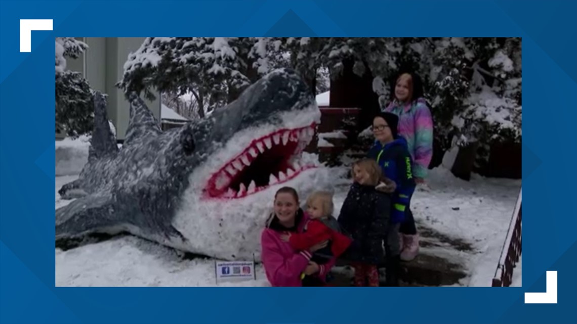 Snow shark! Check out the JAWS replica made out of snow & paint ...