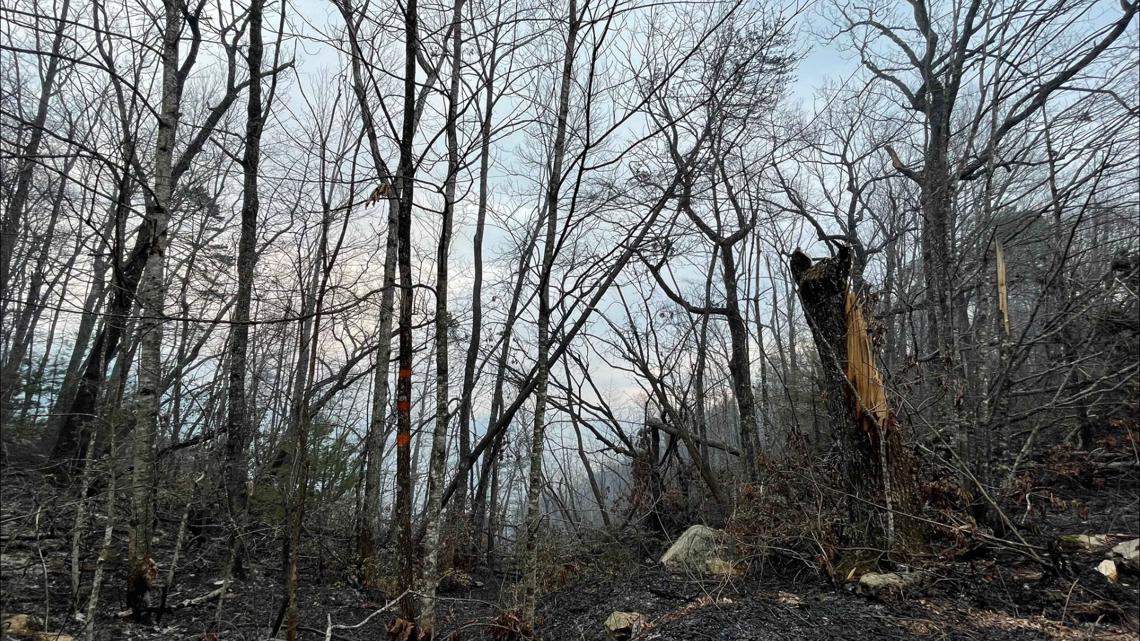 North Fork Fire now 90% contained — U.S. Forest Service | wfmynews2.com
