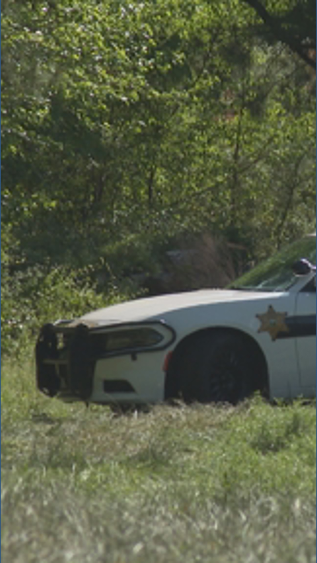 Cadaver dogs join investigation after skeletal remains found in ...