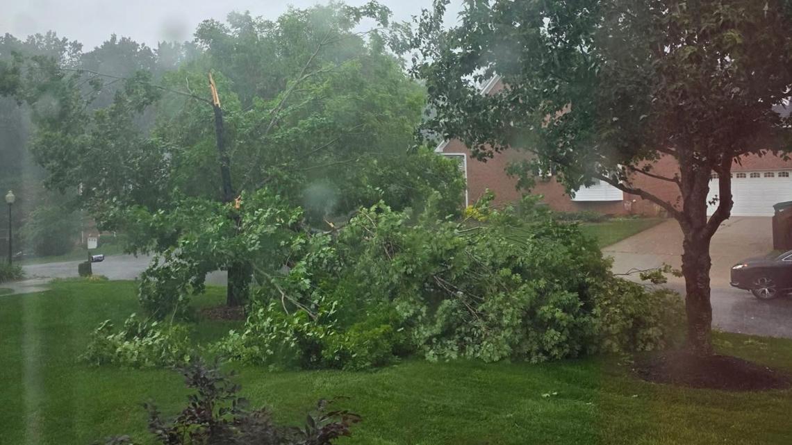 Storms tear through the Triad, causing damage | PHOTOS | wfmynews2.com