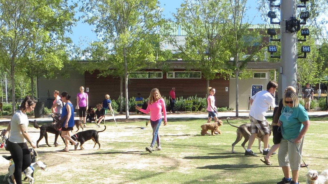 Getting an overactive dog under control | wfmynews2.com