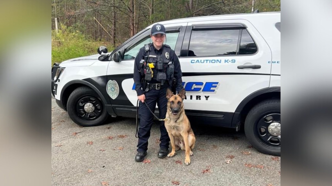 Boy runs to honor K-9 Draco | wfmynews2.com