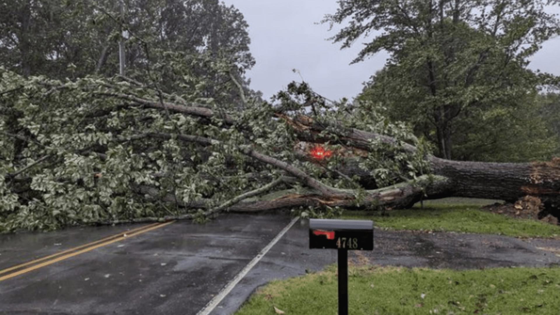 Helene impact: Live updates from North Carolina | wfmynews2.com