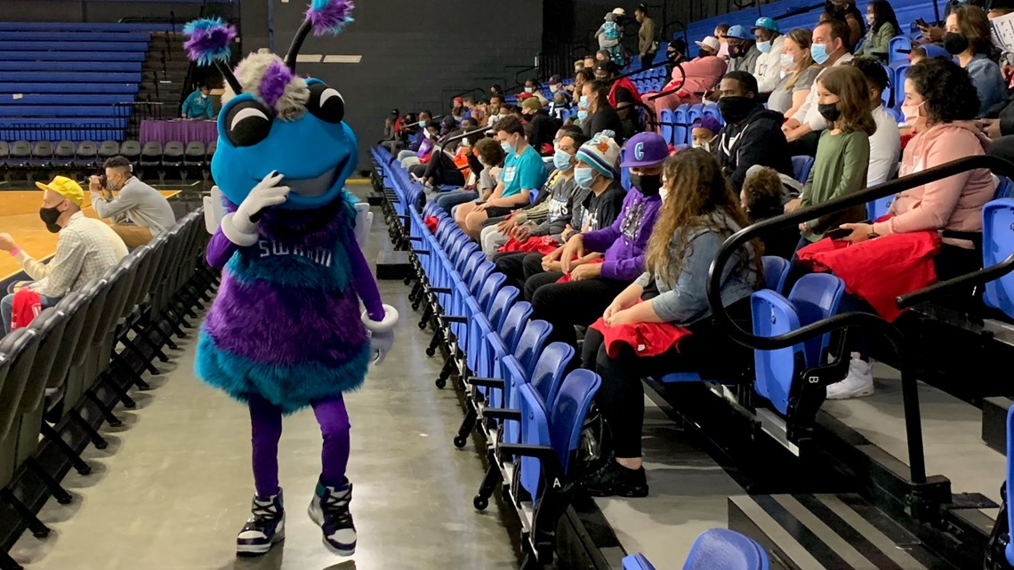 Help name the new Greensboro Swarm mascot | wfmynews2.com