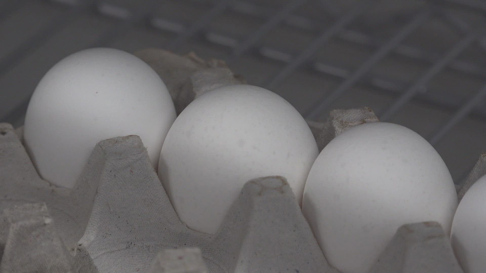 Kernersville businesses face the rising price of eggs | wfmynews2.com