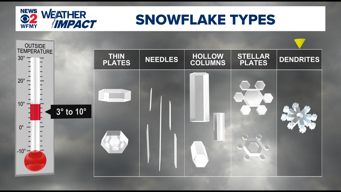 Did you know there are different types of snowflakes? | wfmynews2.com