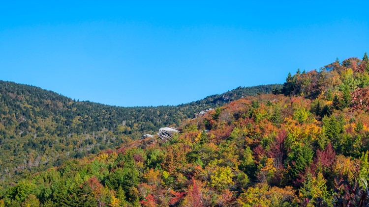 When will the leaves change? North Carolina Fall Color Guide ...