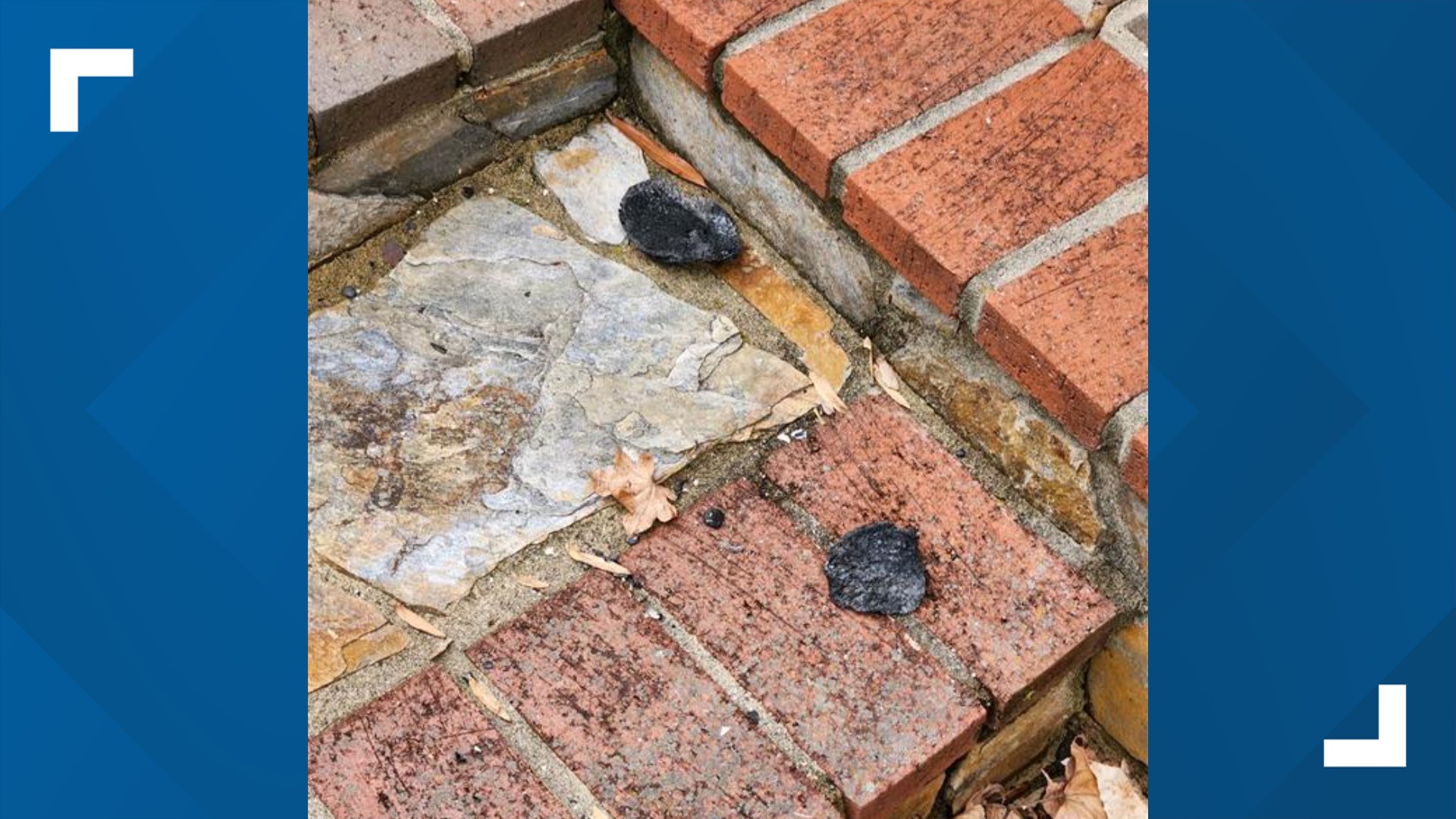 Spray Cotton Mills catches fire in Eden | wfmynews2.com