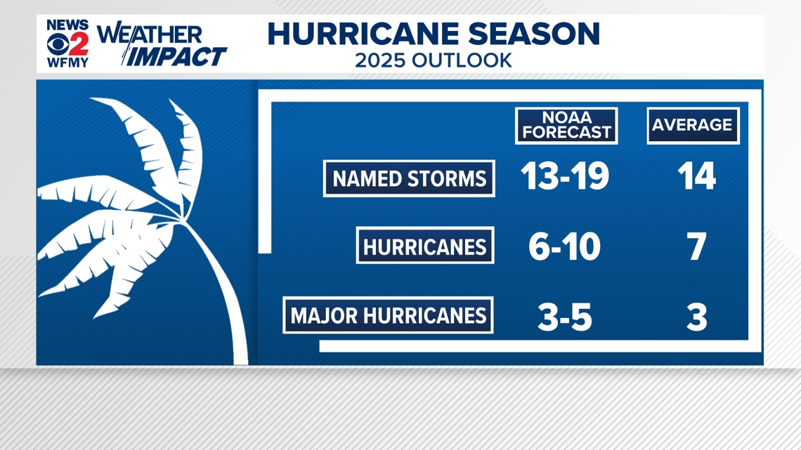 Felony charges possible after opossum set on fire in viral video ...