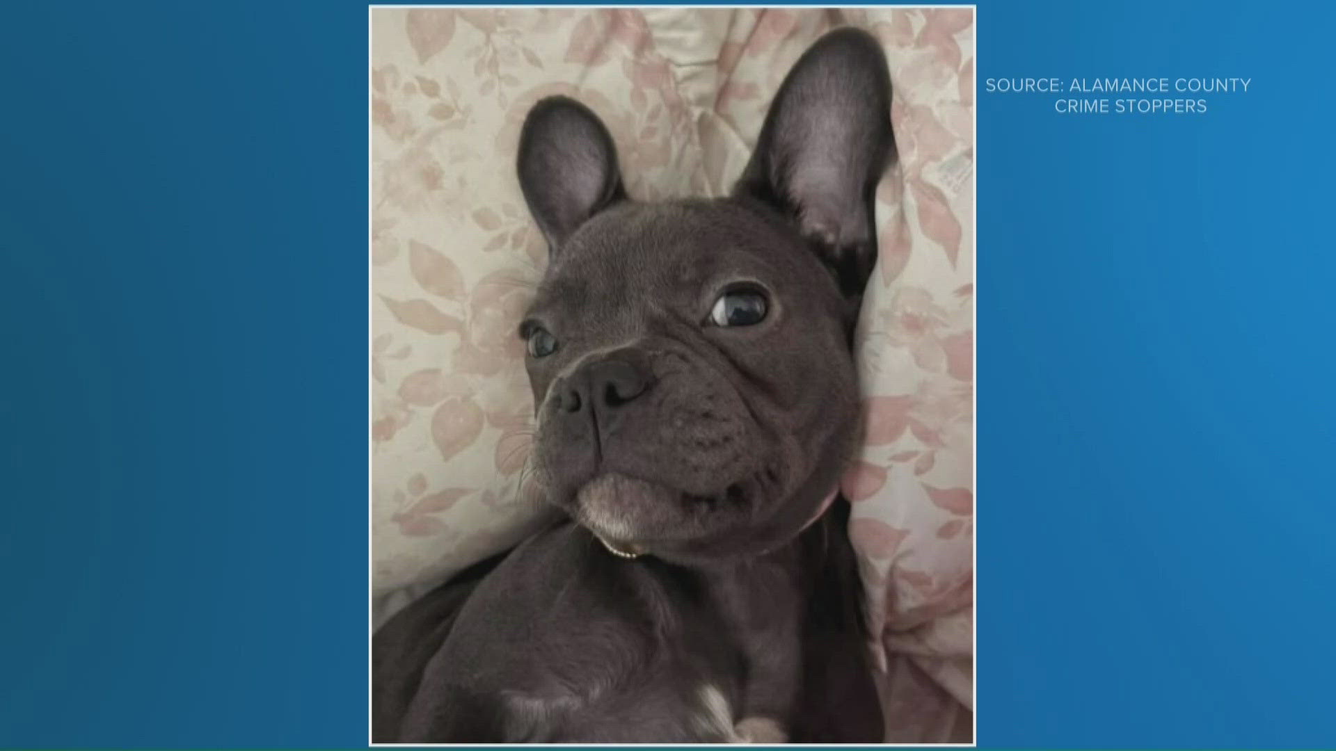 Macy's to shutter 14 stores in latest round of closures: See the list ...