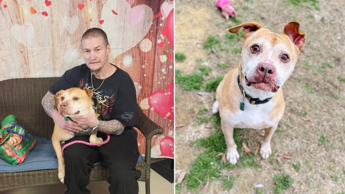 Burlington senior shelter dog finds forever home after longest stay ...