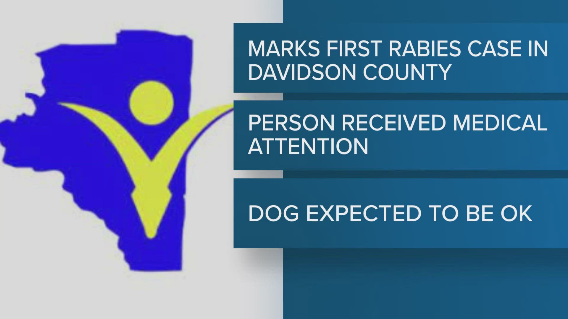 Rabid fox attacks person and dog in High Point | wfmynews2.com