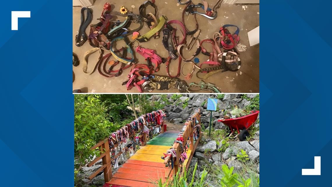 Christian Morgan | wfmynews2.com