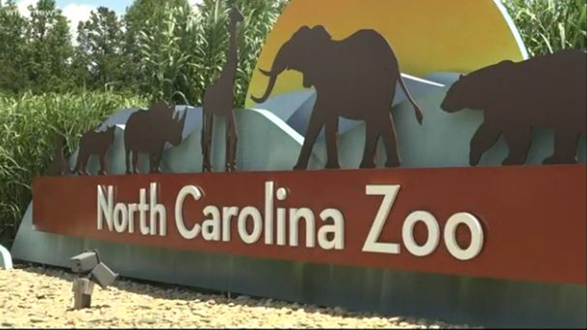 NC Zoo closes aviary to the public as precaution to protect birds ...