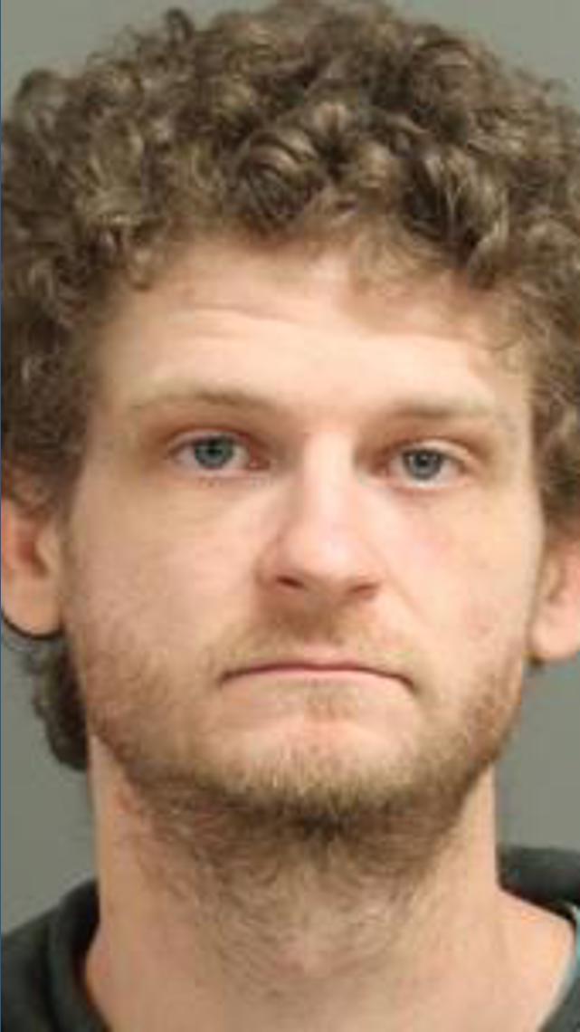 'Hunger Games' actor arrested on felony charges in Raleigh: Court ...