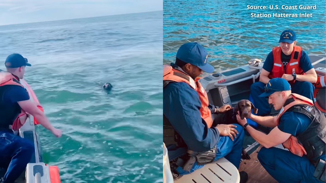 Coast Guard rescues dog that went overboard off Outer Banks NC ...
