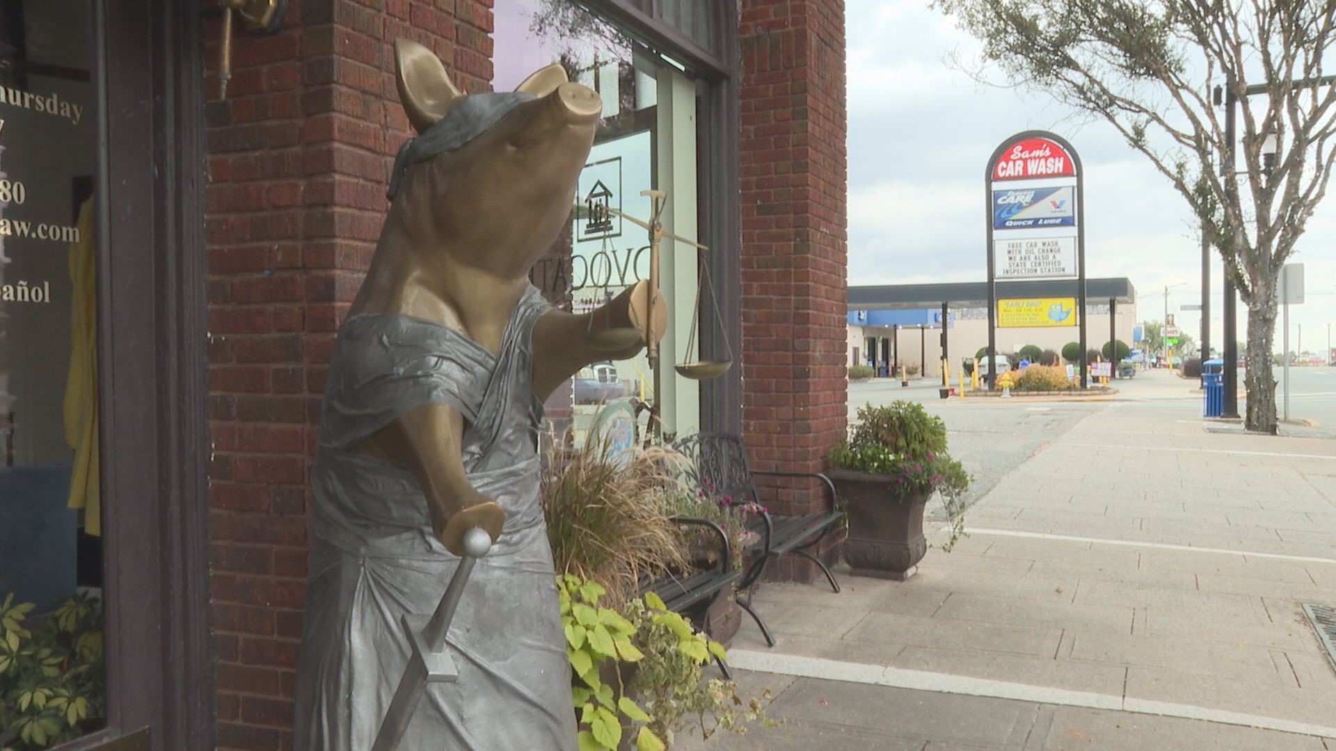 Pigs in the City: The meaning behind the pigs in Lexington | wfmynews2.com