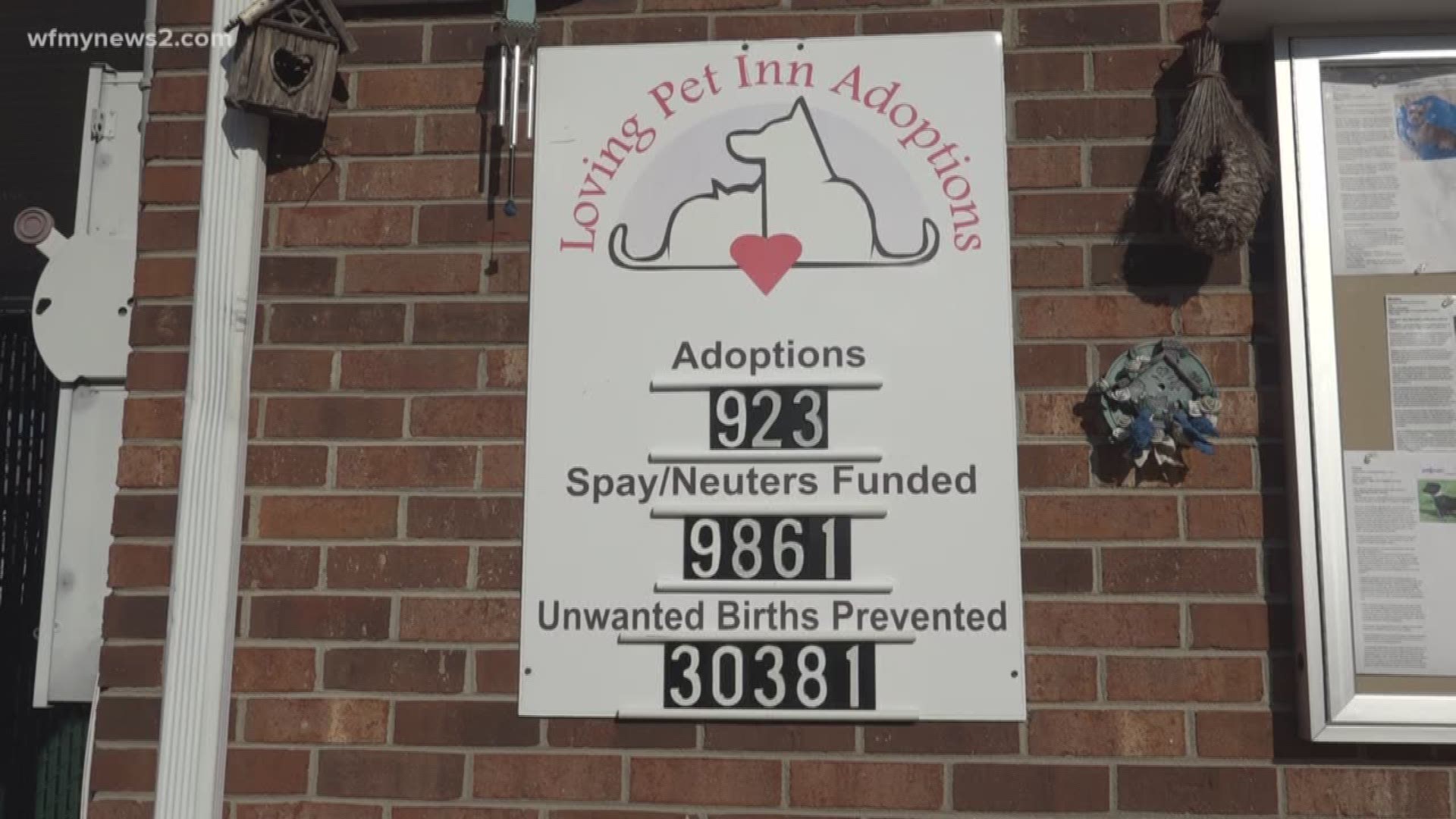 Animal Overcrowding A Problem For Rescues And Shelters Statewide ...