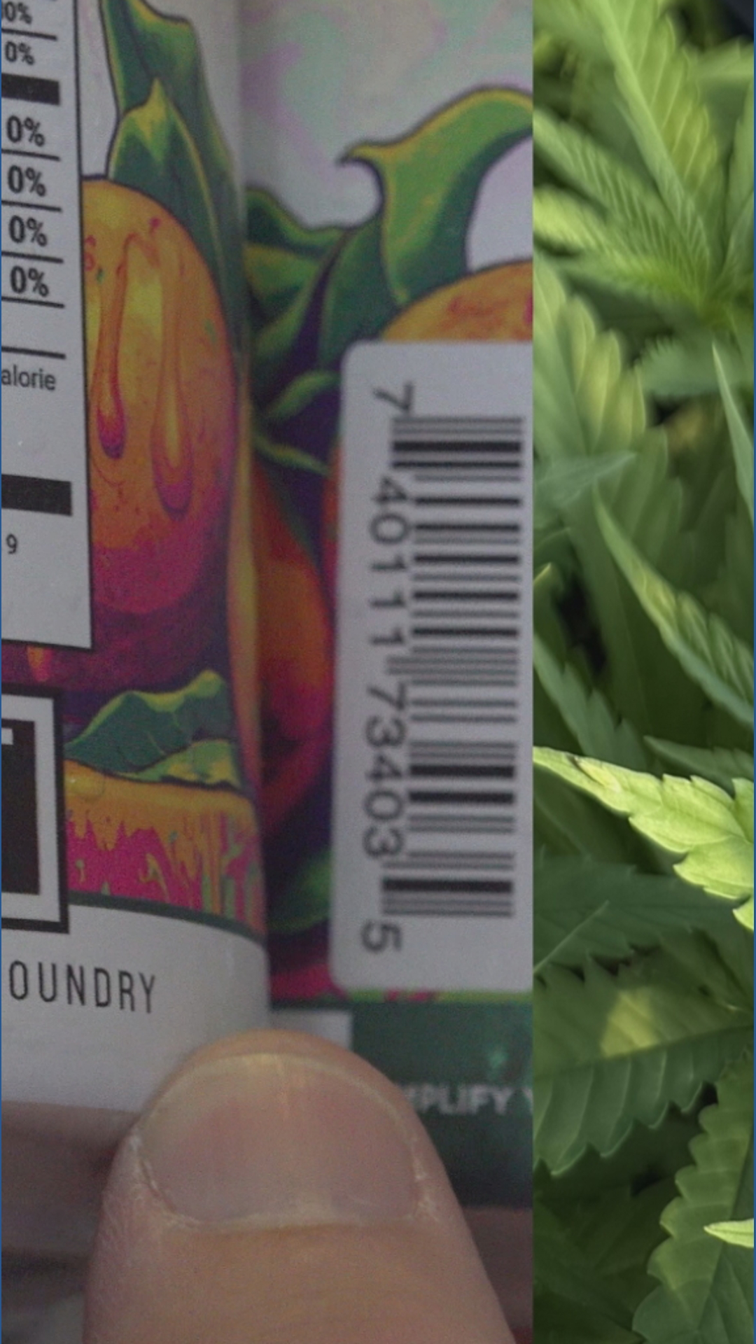 State legislatures cracking down on the hemp industry | wfmynews2.com