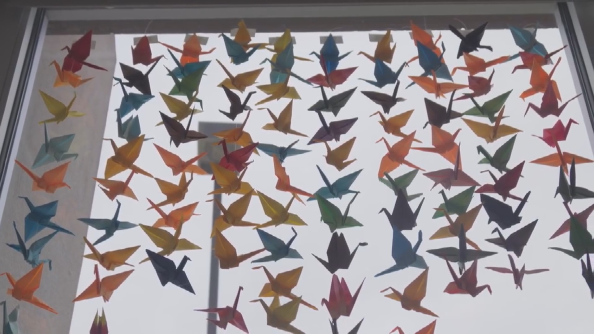 Greenville Elementary students make paper cranes for classmate ...
