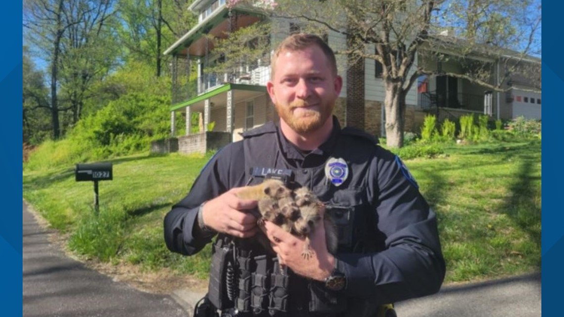 Raccoons rescued in York County | wfmynews2.com