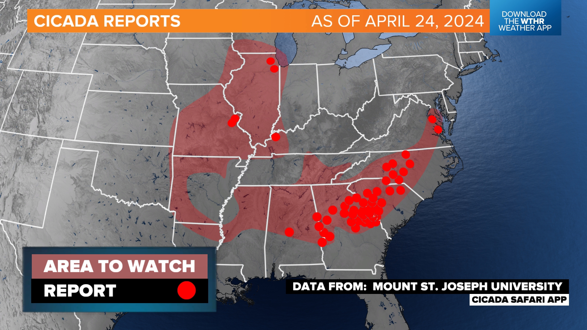Where have the 2024 cicadas emerged so far? | wfmynews2.com