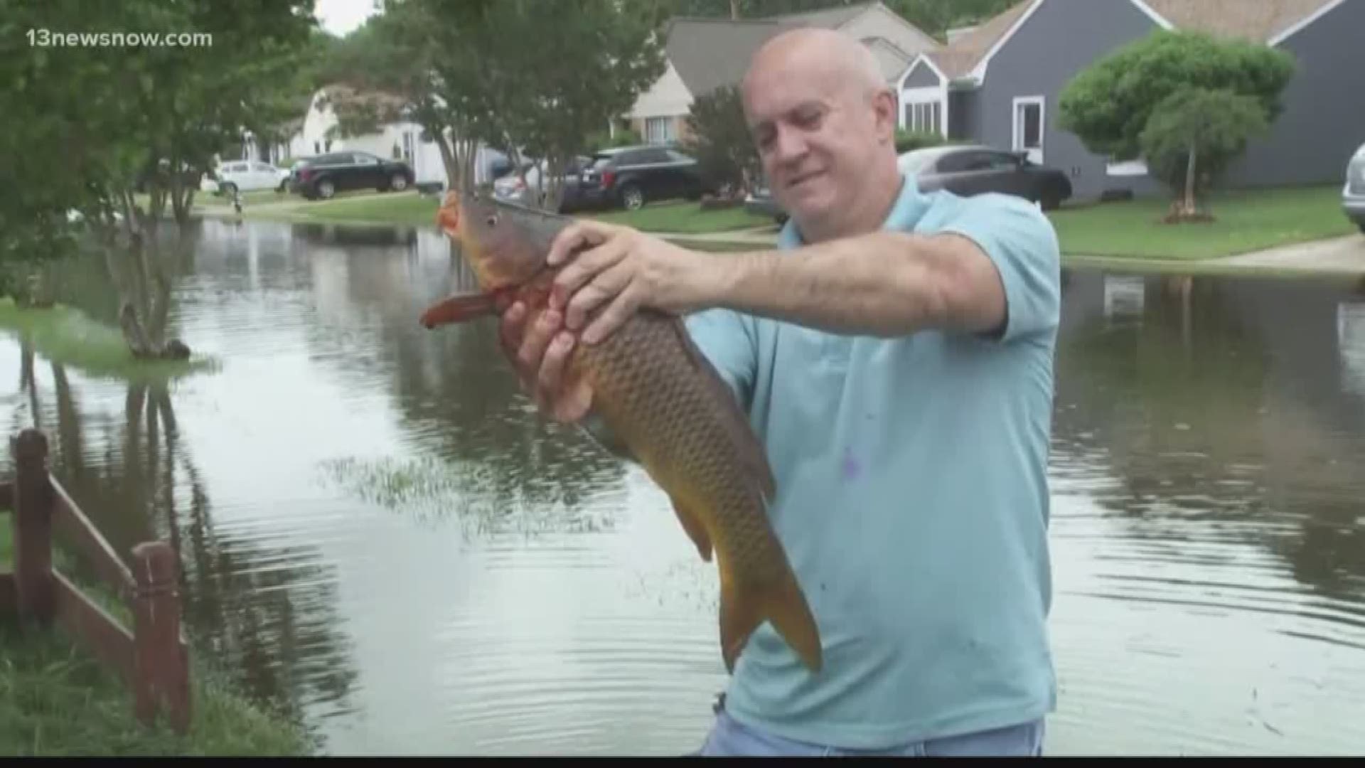 Man Finds Fish Swimming In His Flooded Street | wfmynews2.com