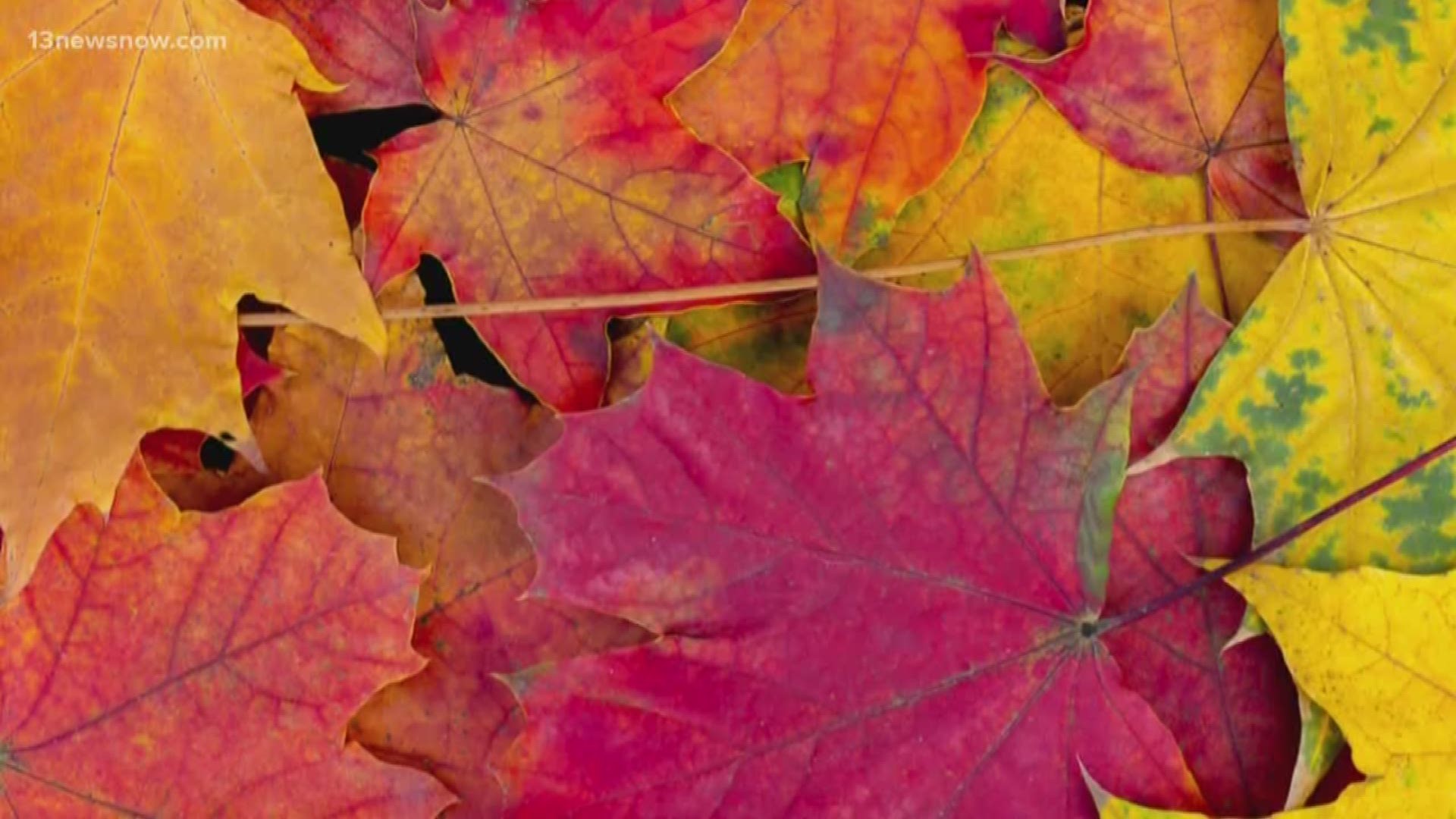 Where does the word 'September' come from? | wfmynews2.com