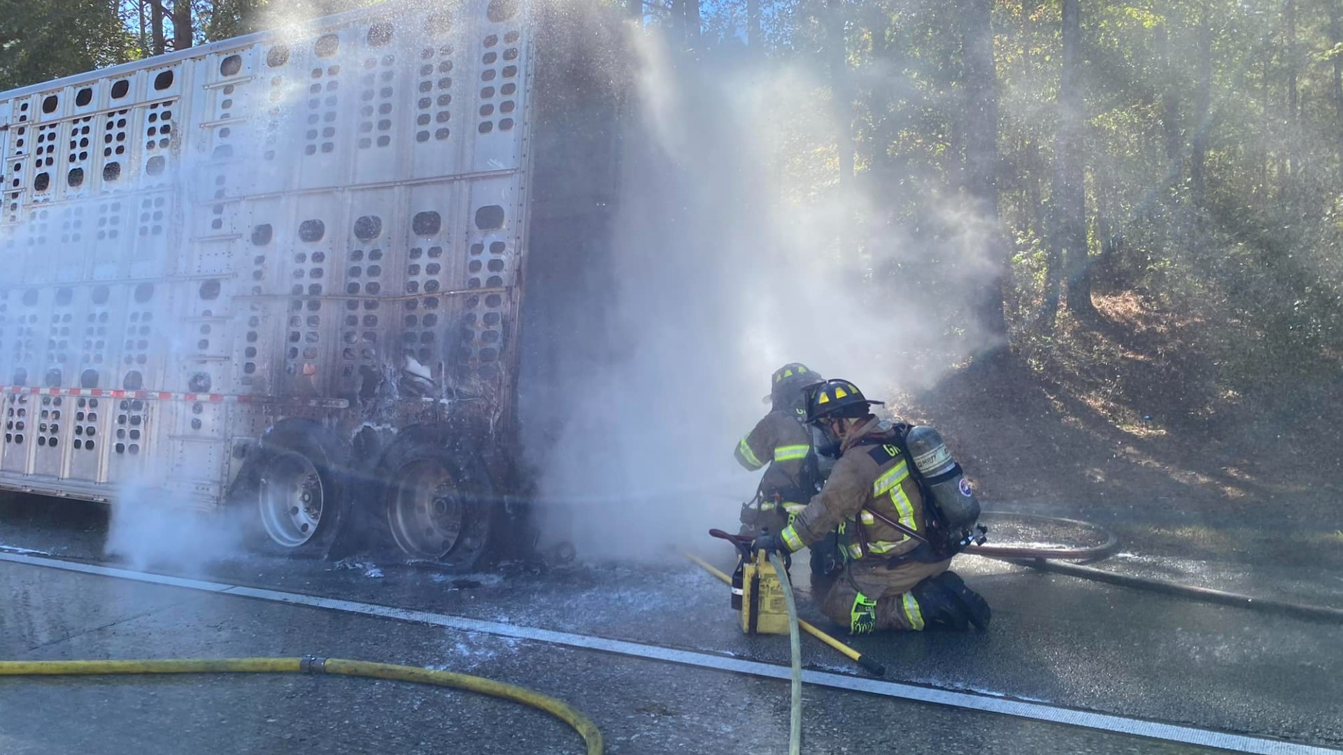 Tractor-trailer fire on I-20 cows dead Greene Co | wfmynews2.com